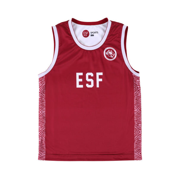 ESF Tigers | Basketball Development League Reversible Jersey ...